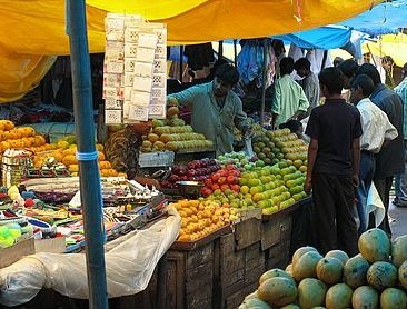 Does Processed Food Make Fat